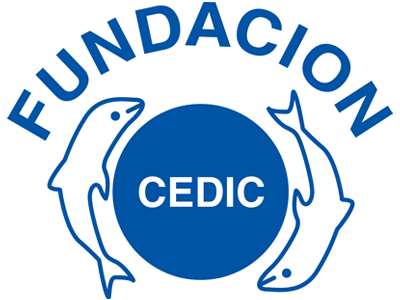 Organigrama | Fundación CEDIC